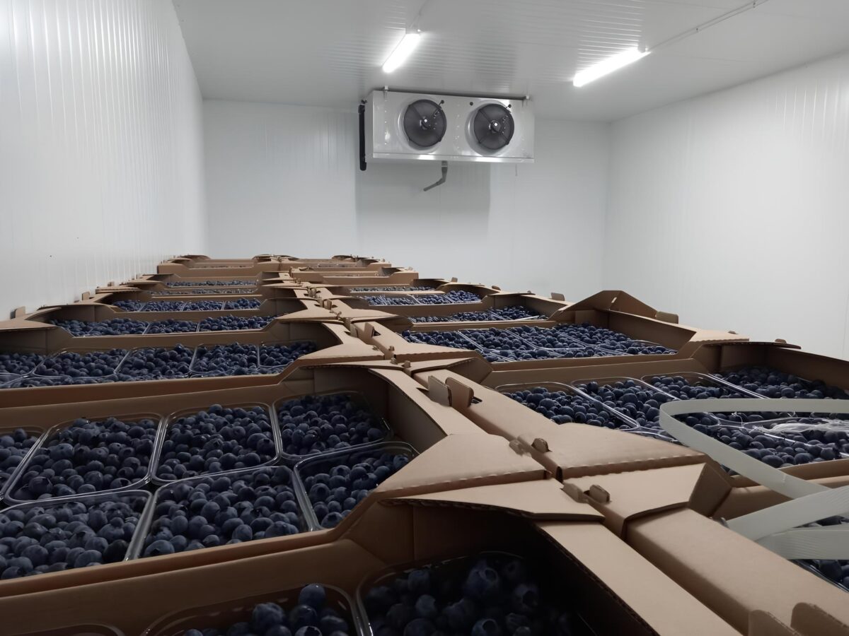 Pre-cooling and hydrocooling technologies. - Industrial Refrigeration ...